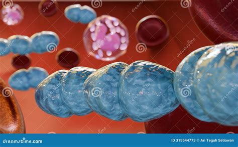 3d Rendering Of Septicemia Or Sepsis By Streptococcus Pyogenes Royalty