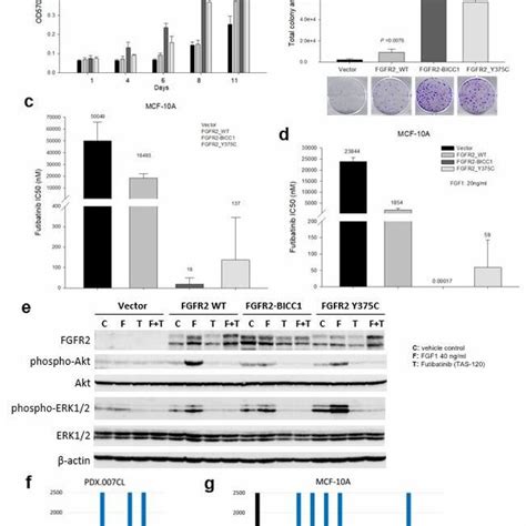 Pdf Efficacy Of Futibatinib An Irreversible Fibroblast Growth Factor