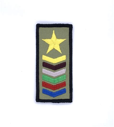 Pathfinder Master Guide Combination Chevron Buc