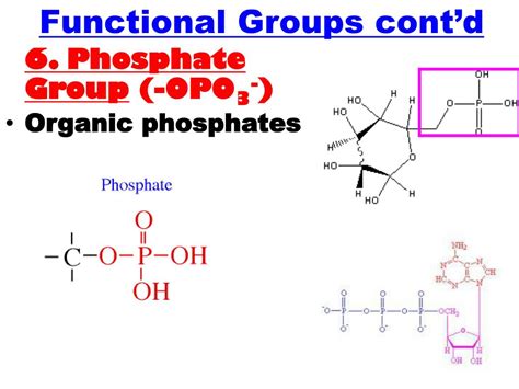 Ppt Biochemistry Powerpoint Presentation Free Download Id3648937