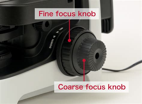 Diopter Adjustment On Microscope At Joe Jennings Blog