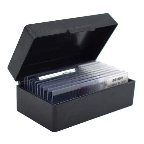 Eisco 10pk Typical Bacteria Whole Mount Prepared India Ubuy