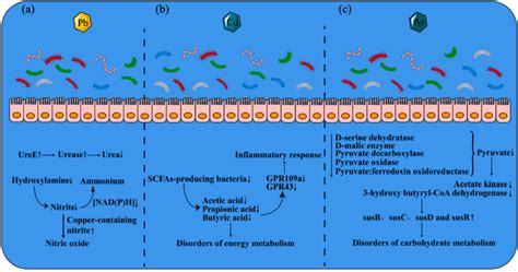 工业化学品与污染物 谷禾健康