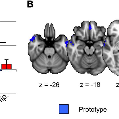 model based fmri a prototype blue and exemplar red neural model