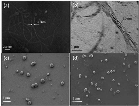 10 Polyester Urethane Structure Structureofethane2
