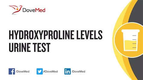 Hydroxyproline Levels Urine Test Dovemed