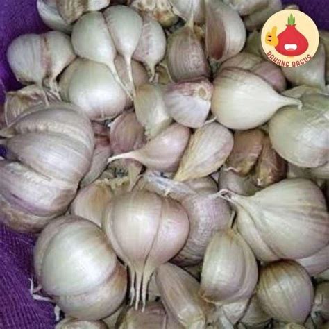 Jual Bawang Putih 10 Kilo Original Murah Harga Diskon Juli 2024