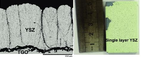 Sem Micrograph And Photograph Of Single Layer Ysz Tbc Failed During Tcf