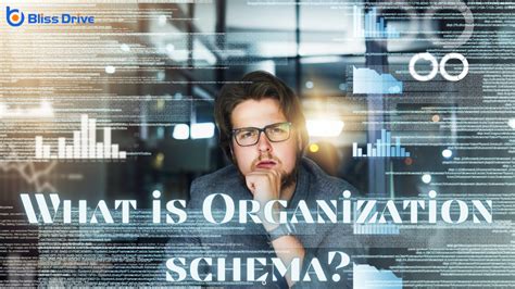 What Is Organization Schema Bliss Drive