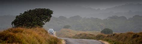 A Romance Guide The Honeymoon Guide Best Escapes In Nuwara Eliya