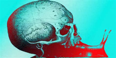 Personality Test What Career Path Should You Take Yourtango