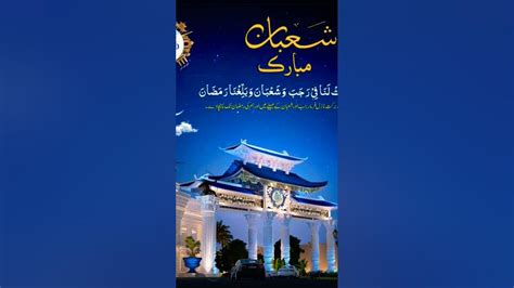 Shaban Mubarak Youtube