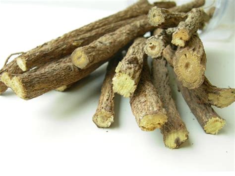 Лечебный корень — солодка от кашля