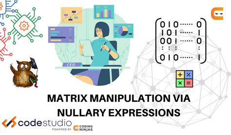 Matrix Manipulation Via Nullary Expressions Naukri Code 360