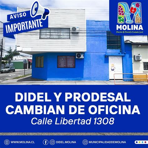 Didel Molina Didelmolina • Instagram Photos And Videos