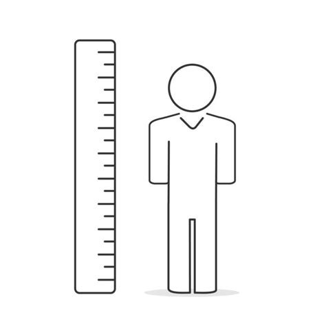 Height Measurement Clipart Free
