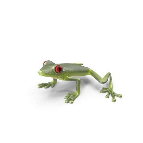 Tree Frog Png Images And Psds For Download Pixelsquid S12307469d