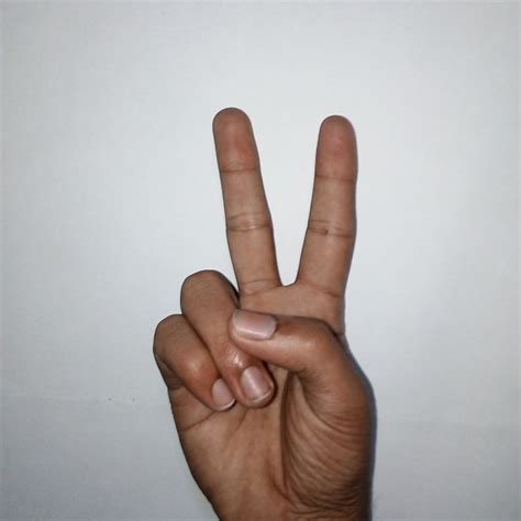 Shongket Bangla Sign Language Digit Dataset Kaggle