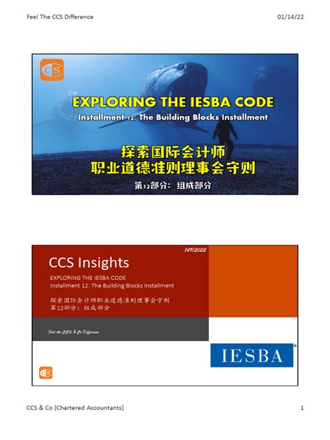 Exploring The Iesba Code Installment 12 The Building Blocks