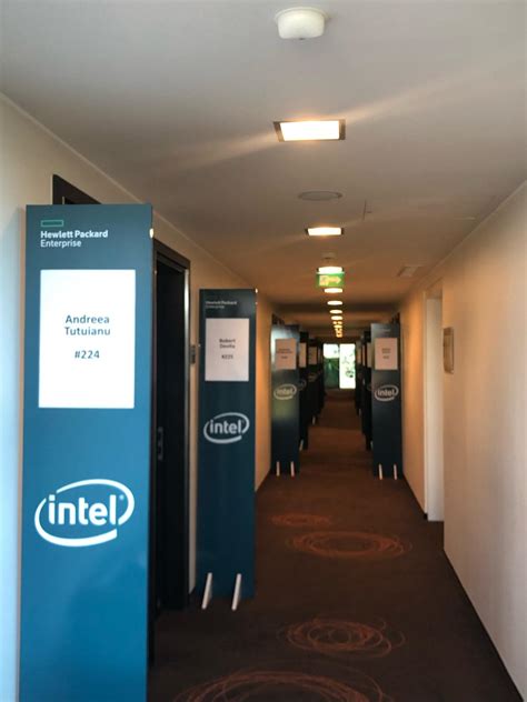 Andreea Tutuianu On Linkedin Hpedcp2019