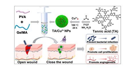 Gelatin Based Injectable Hydrogels Loaded With Copper Ion Cross Linked Tannic Acid Nanoparticles