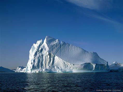violetas: ICEBERG