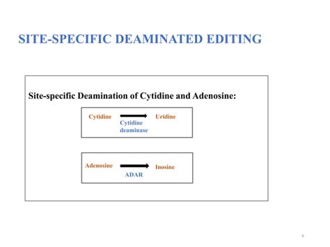 rna editing pptx programming languages computing