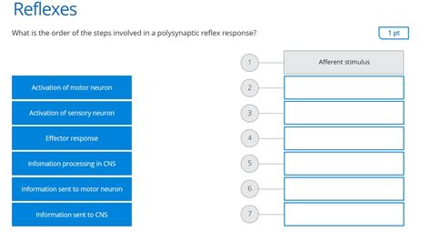 Solved Reflexes What Is The Order Of The Steps Involved In A
