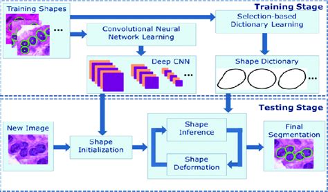 the architecture of segmentation framework in [142] this figure download scientific diagram