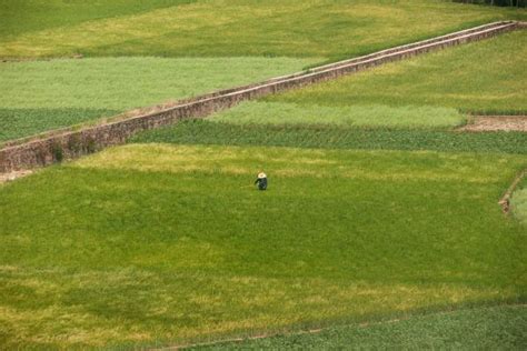 Country Programming Framework 2021 2025