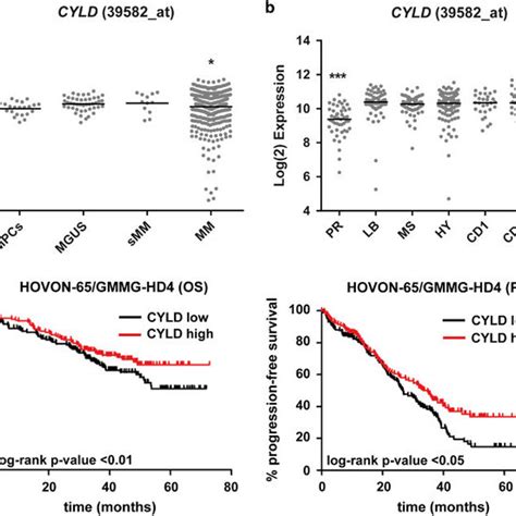 Cyld Expression In Mm In Relation To Disease Stage Molecular Subgroup Download Scientific