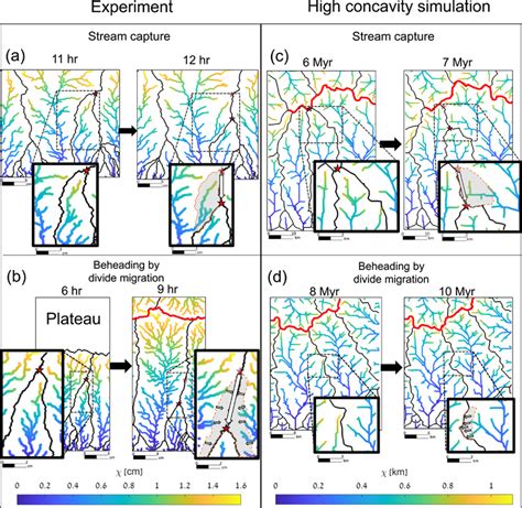 Modes Of Reorganization Observed In The Experiment A And B And In The