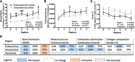Ac Comparison Of Bone Matrix Maturation In Bone Formed On Endocortical