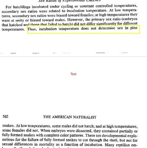 Female Aggressive With Males Ball Pythons Morphmarket Reptile Community