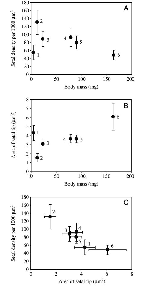 A Setal Density D Versus Body Mass M B Setal Tip Area S1 Versus