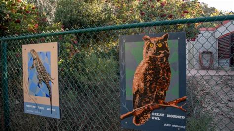 A Visitors Guide To Tecolote Canyon Natural Park And Nature Center Go