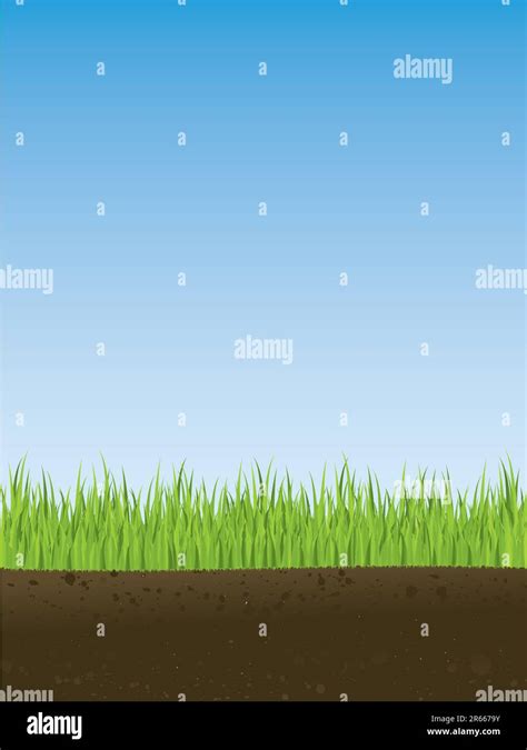 Cross Section Of Spring Grass Illustration Is Seamless And Can Be Tiled Stock Vector Image