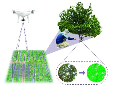 Data Acquisition Process Download Scientific Diagram