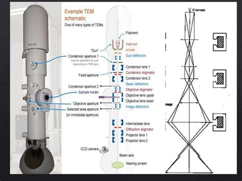 Overview Of Microscopic Techniques Pptx