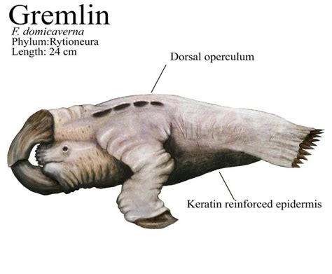 Gremlin Creature Artwork Weird Creatures Alien Creatures
