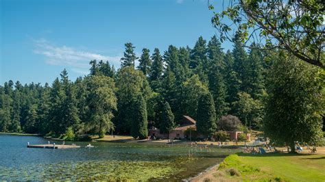 Seward Park Holiday Rentals Seattle Holiday Houses And More Vrbo