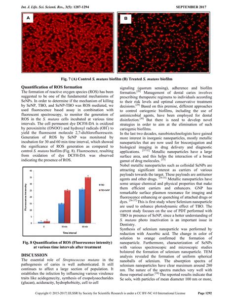 Selenium Nanoparticle Enhanced Photodynamic Therapy Against Biofilm