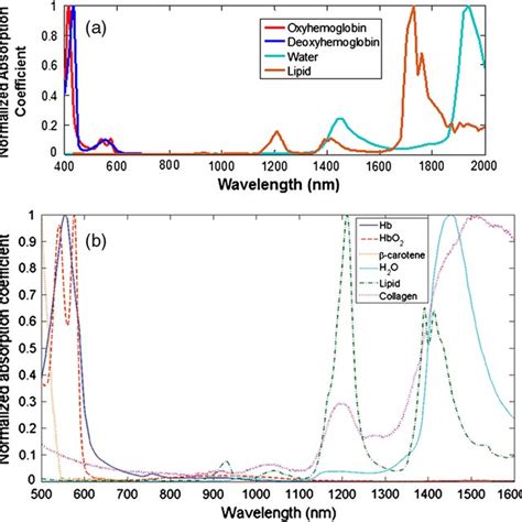 A Absorption Coefficients Of Oxygenated And Deoxygenated Hemoglobin Download Scientific