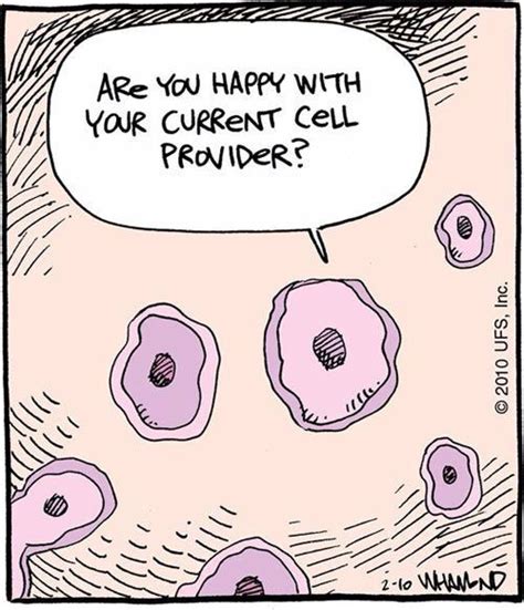 Are You Happy With Your Current Cell Provider Science Puns Biology