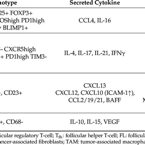 Main Cells Involved In The Tumor Microenvironment Of Follicular