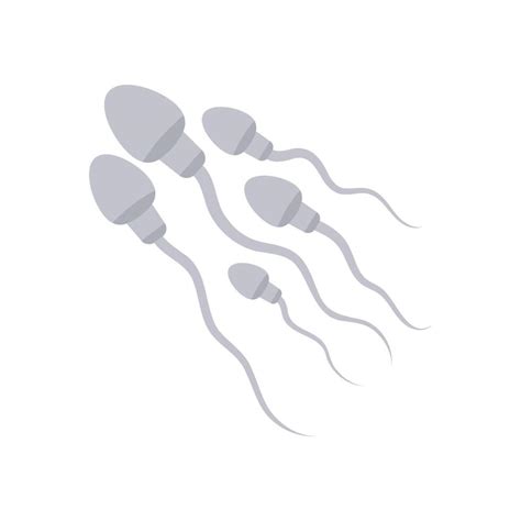 Sperms Human Body Part Illustration 53308310 Vector Art At Vecteezy