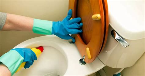 Mrs Hinch Fan Shares The 60p Secret To Getting Grim Loo Brushes