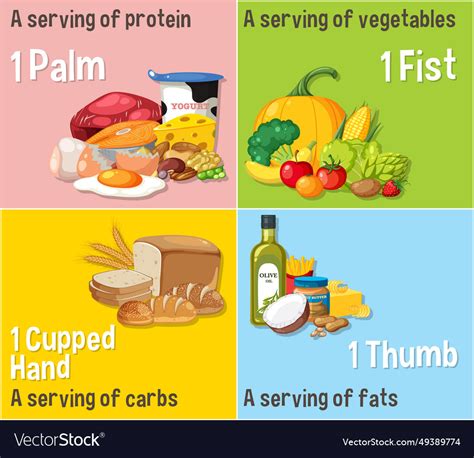 Set Of Food Macronutrients Protein Fiber Vector Image