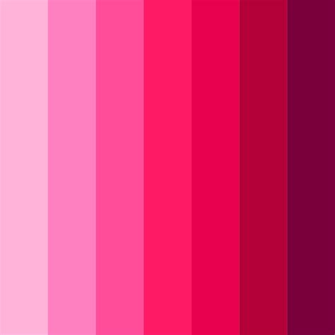 Bright Hot Pink Color Palette Colordrop