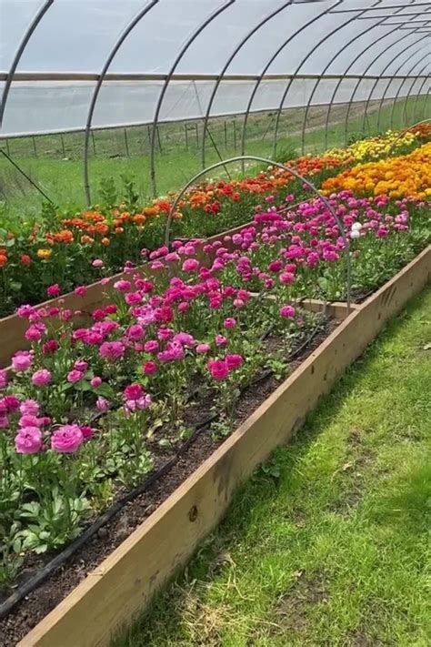 How My Flower Farm Generated Over 250 000 In One Year Artofit